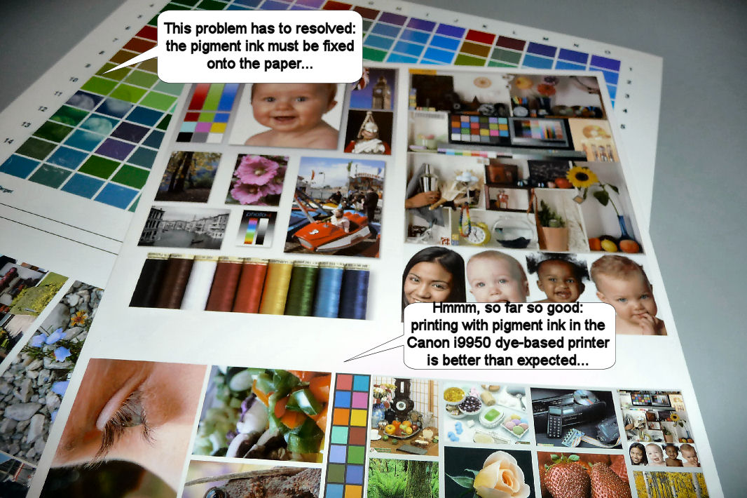 The Ultimate pigment ink test in Canon i9950 A3+ dye ink printer ...